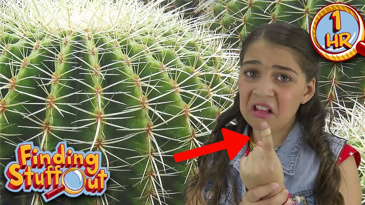 Ouch! Exploring the Science Behind Pain | Full Episodes | Finding Stuff ...