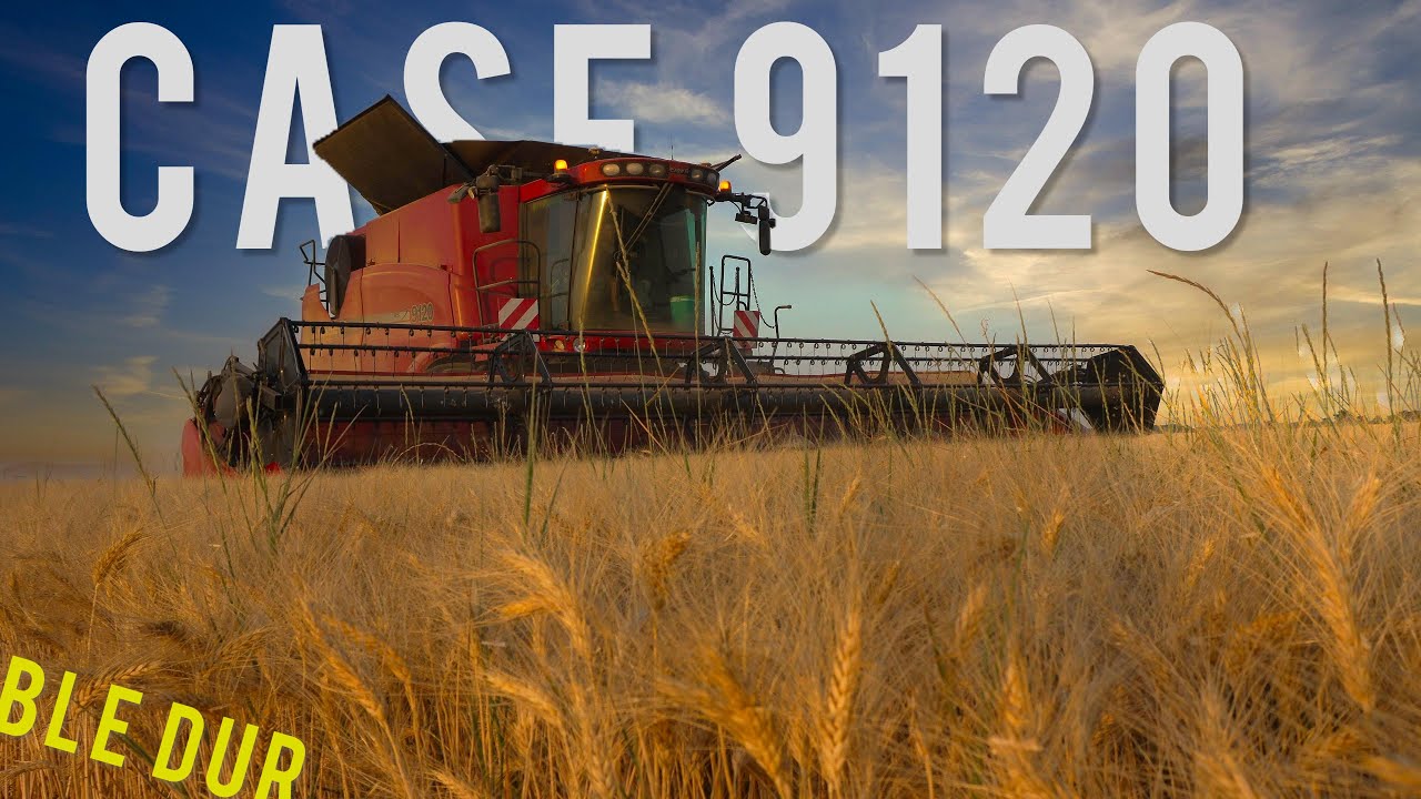 CASE 9210 - Coupe 9m | Moisson Blé Dur 2025 - YouTube