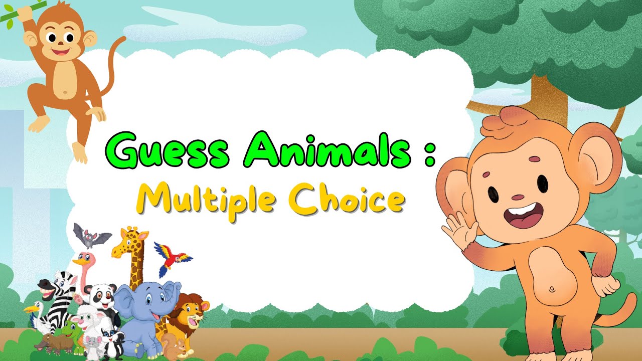 Guess the Animal! Fun Multiple-Choice Quiz - YouTube