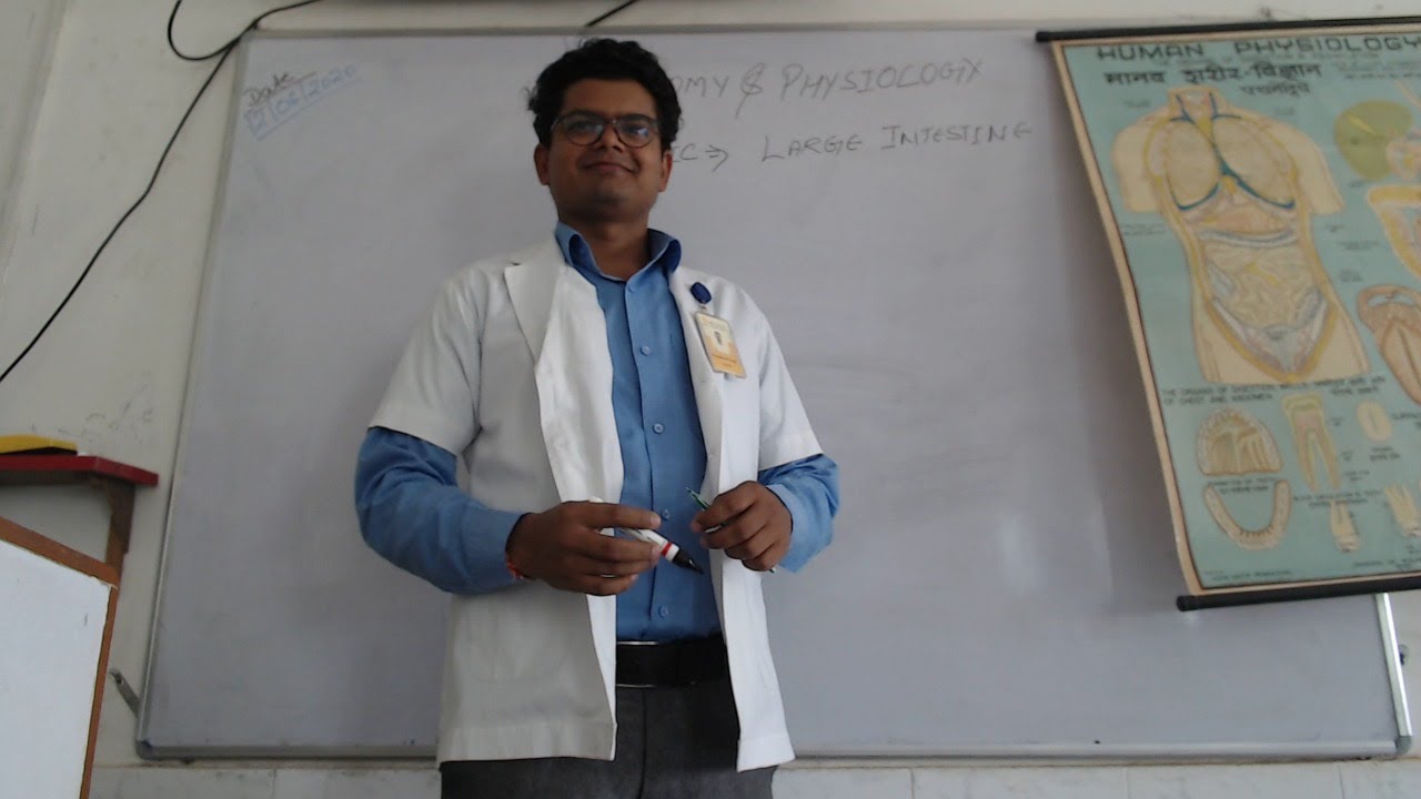 BSC GNM 1ST YEAR ANATOMY LARGE INTESTINE YouTube bsc-gnm-1st-year-anatomy-large-intestine-youtube