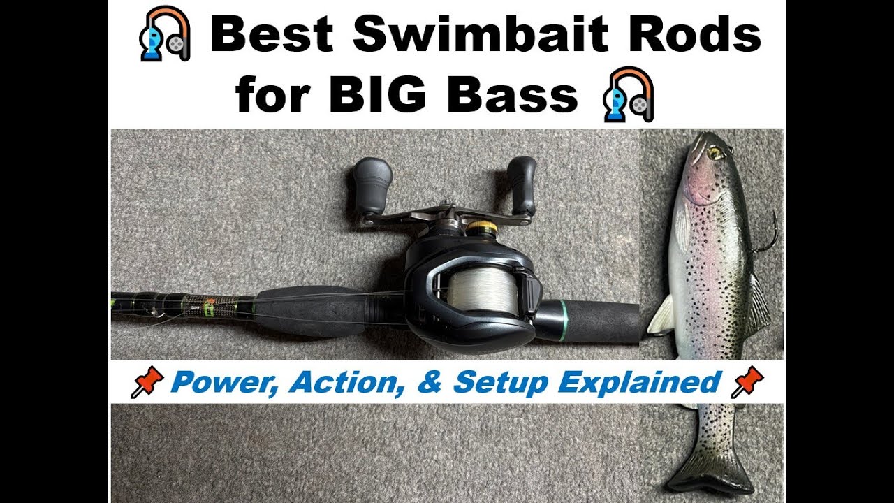Best Swimbait Rods for BIG Bass 🎣 (Power, Action, & Setup Explained) # ...