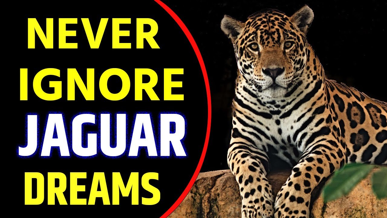 What Does A Jaguar Symbolize In A Dream - Infoupdate.org