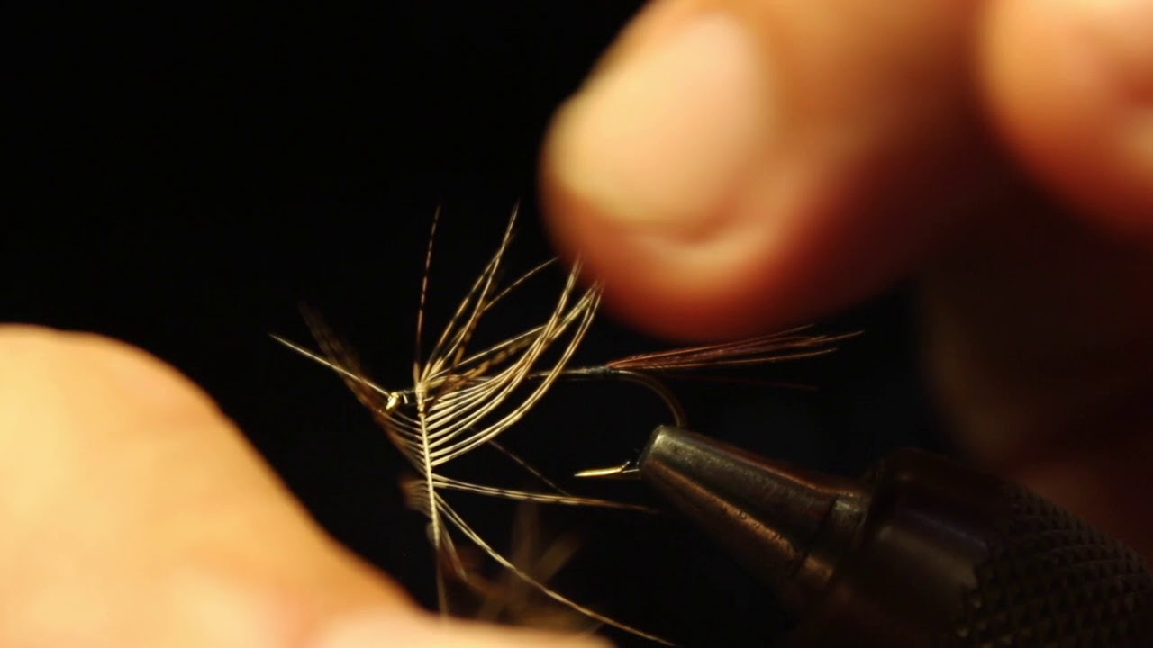 How to Wrap a Soft Hackle - Beginner Fly Tying Tutorial Series - YouTube