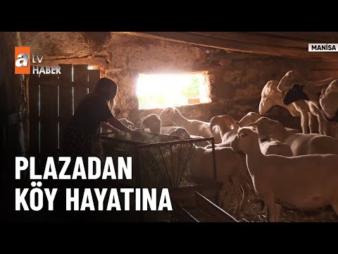Cansel Güleç, iş hayatını bıraktı, köyüne döndü, fenomen oldu - atv Ana Haber 20 Haziran 2025