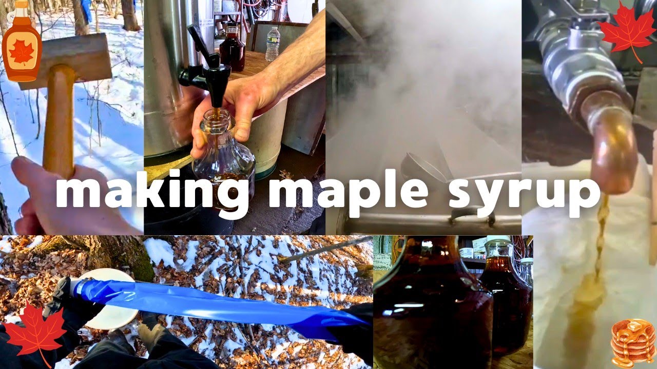 making maple syrup in 2024 (full process) - YouTube