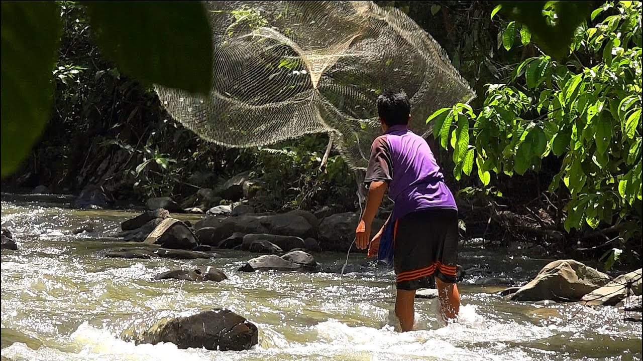 Catching fish with nets | Hasil menjala dibahagi 5 keluarga | Jala ikan ...