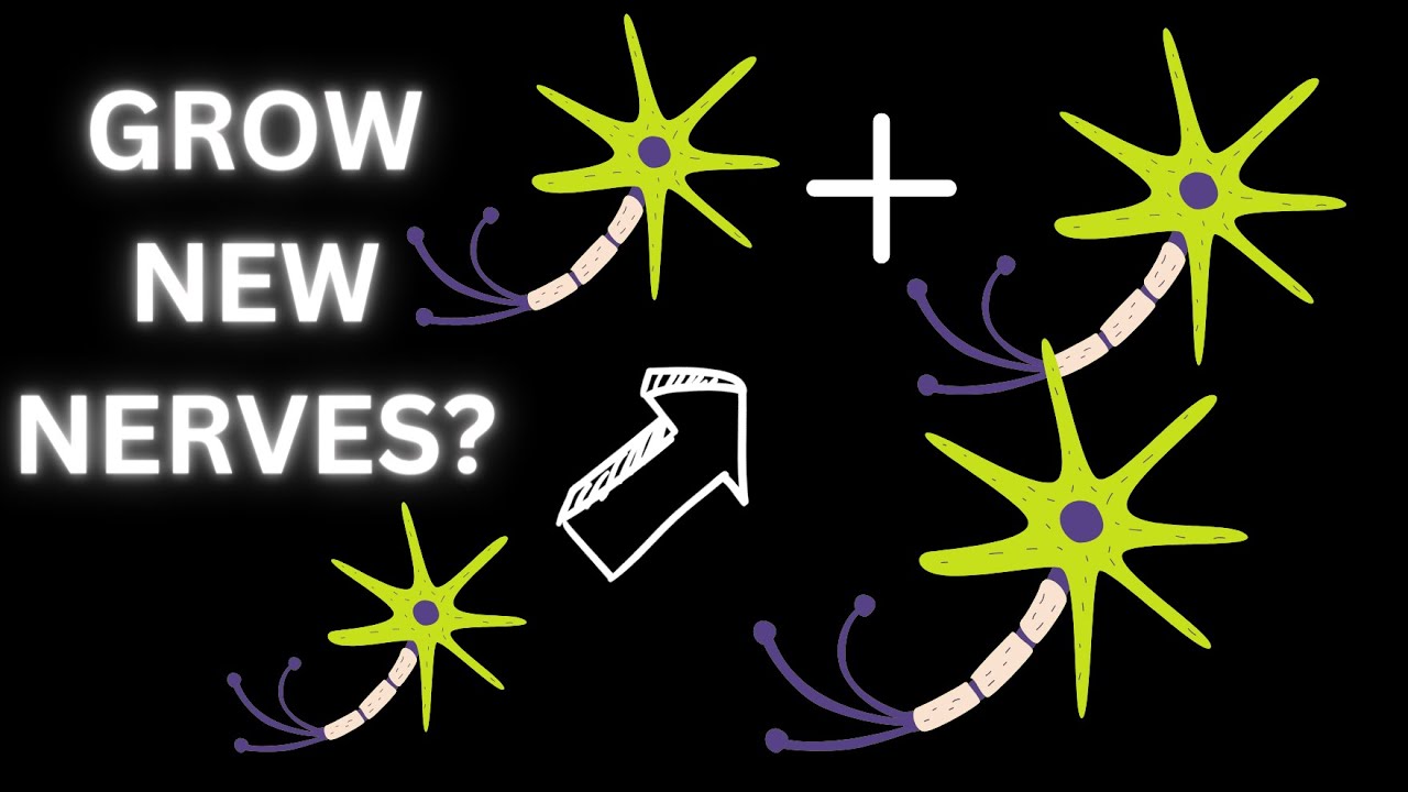 How to Get Smarter, and Grow Smarter. - YouTube