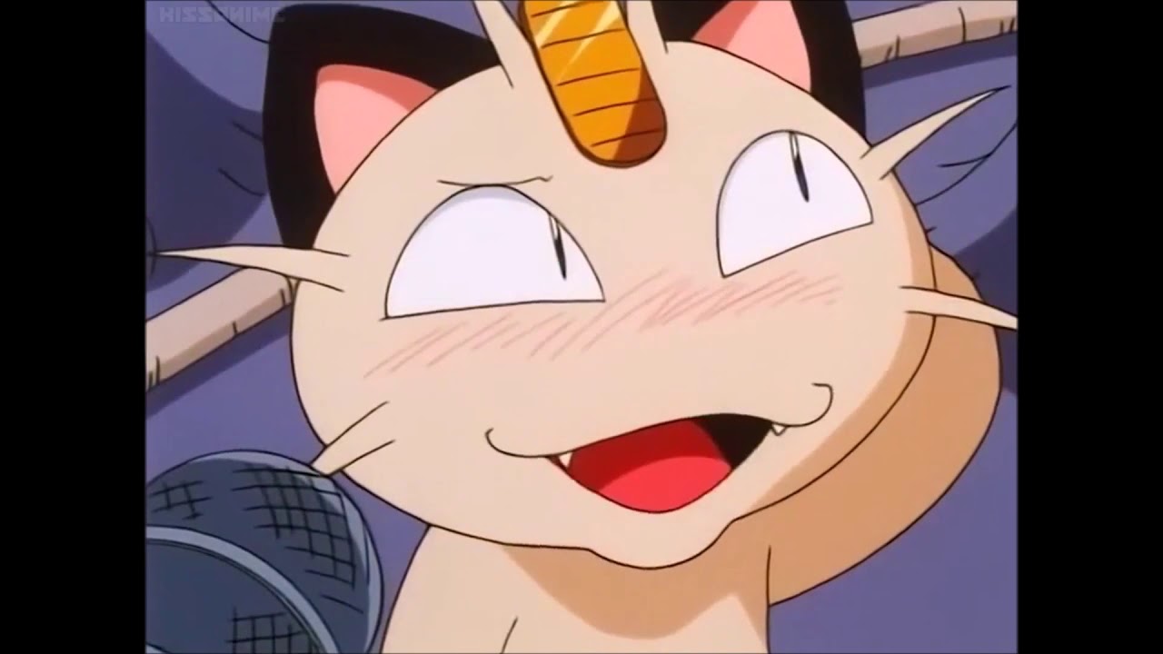 Meowth Is Shy Doing Interviews - YouTube
