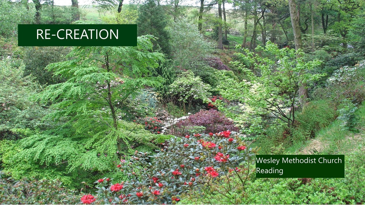 Creation recreation - YouTube