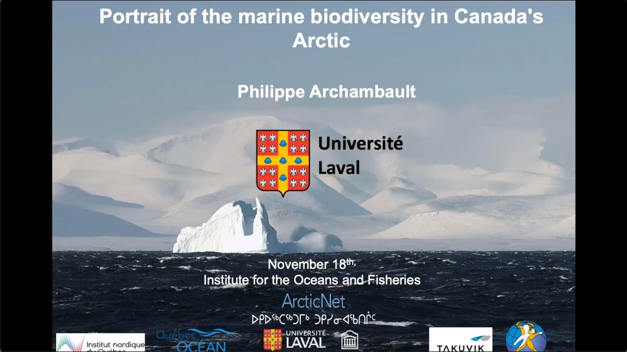 Portrait of the marine biodiversity in the Canadian Arctic - YouTube