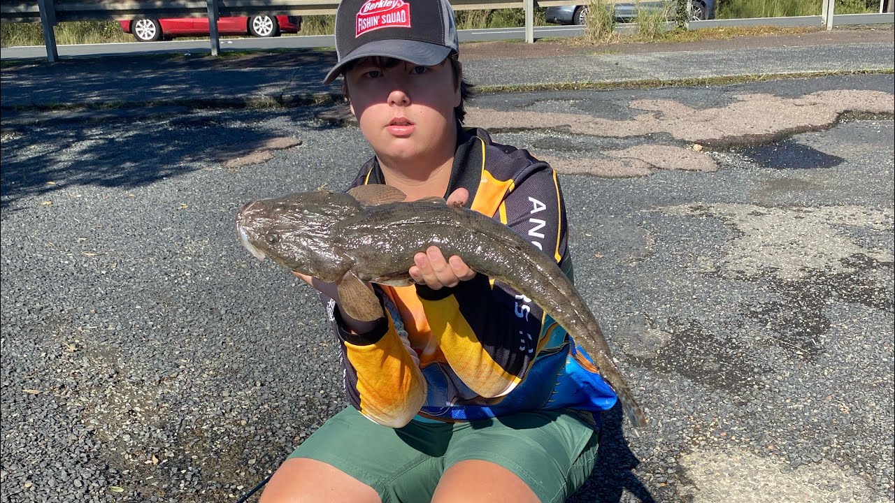 Using MMD soft prawns and others (decent fish) - YouTube