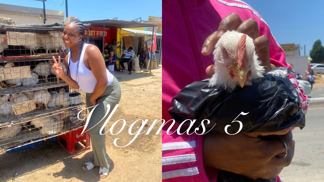 #vlogmas2024 EPS 5// Let’s go get a Live Chicken// Another yapping ...