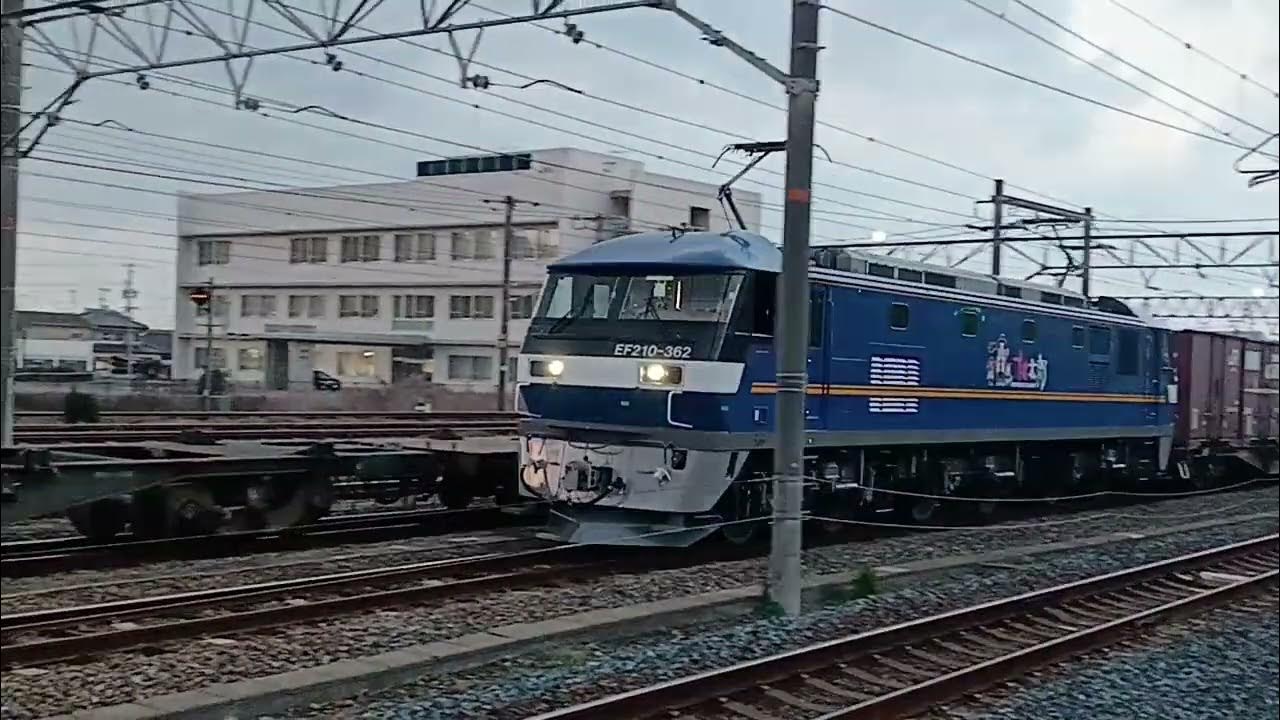 1053レJR貨物桃太郎ピカピカのEF210−362 来ましたー‼️ - YouTube
