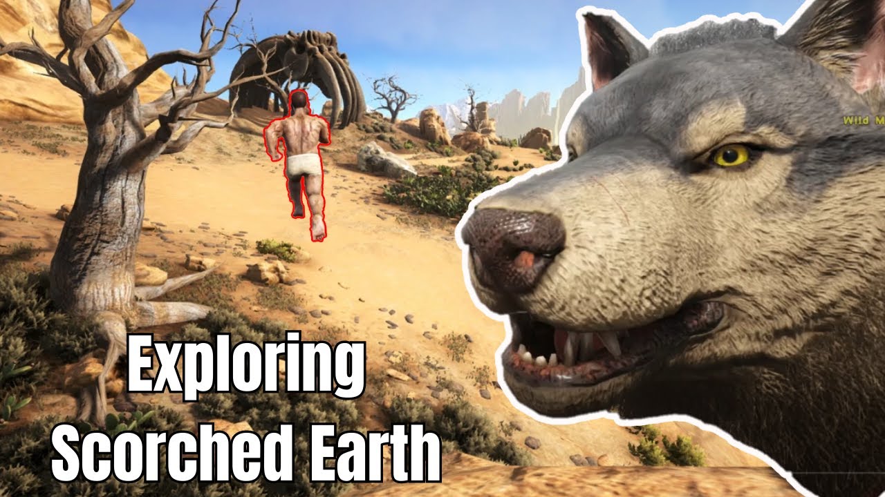 Exploring Scorched Earth | Ark Survival Evolved - YouTube