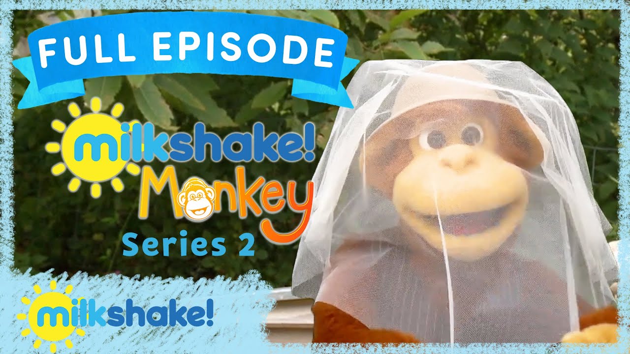 Milkshake! Monkey | Busy as a Bee | Full Episode - YouTube