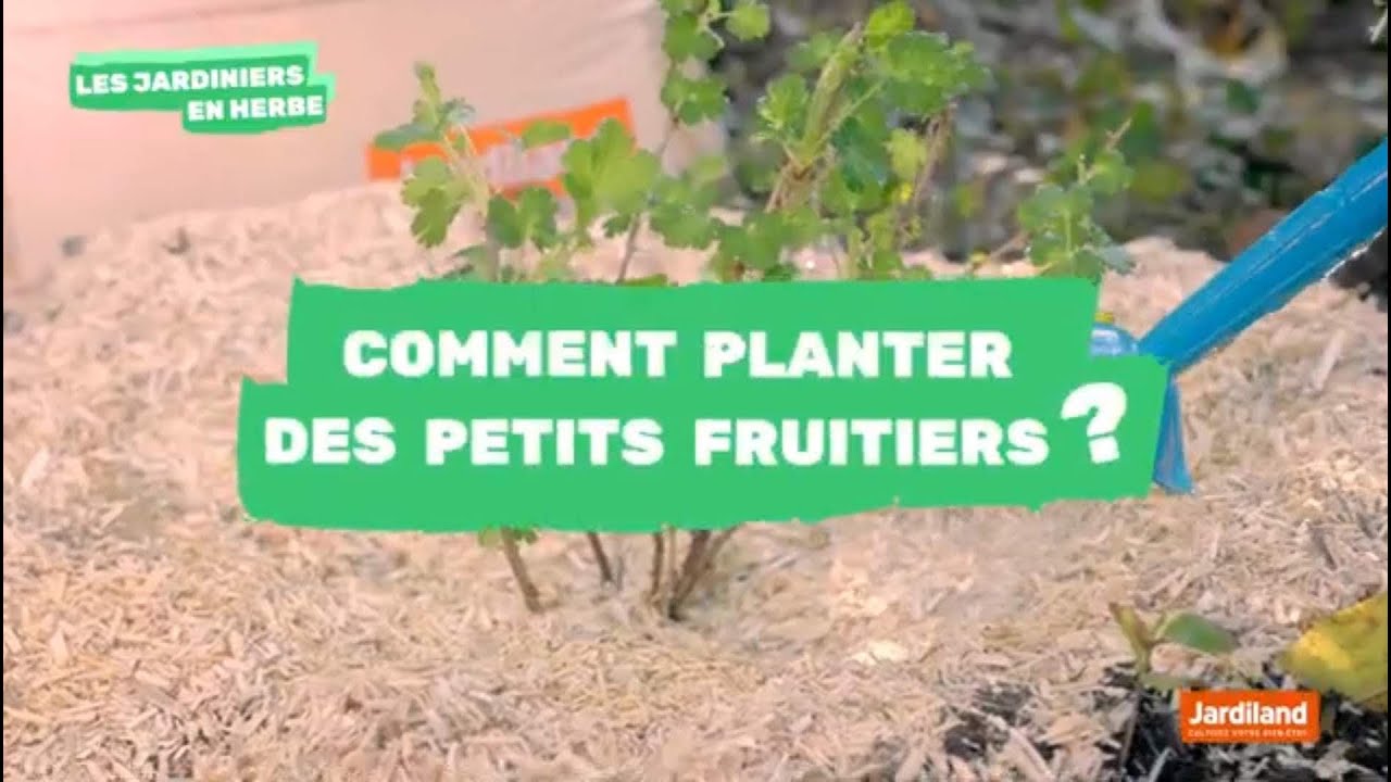 Comment planter des petits fruitiers ? - YouTube