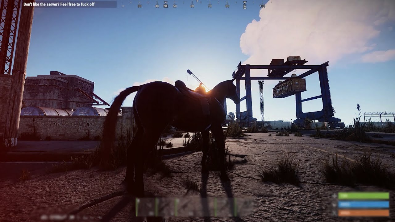 *MUTED* RUST – ЗАЩИЩАЕМ ЛОШАДЬ! #1 - YouTube