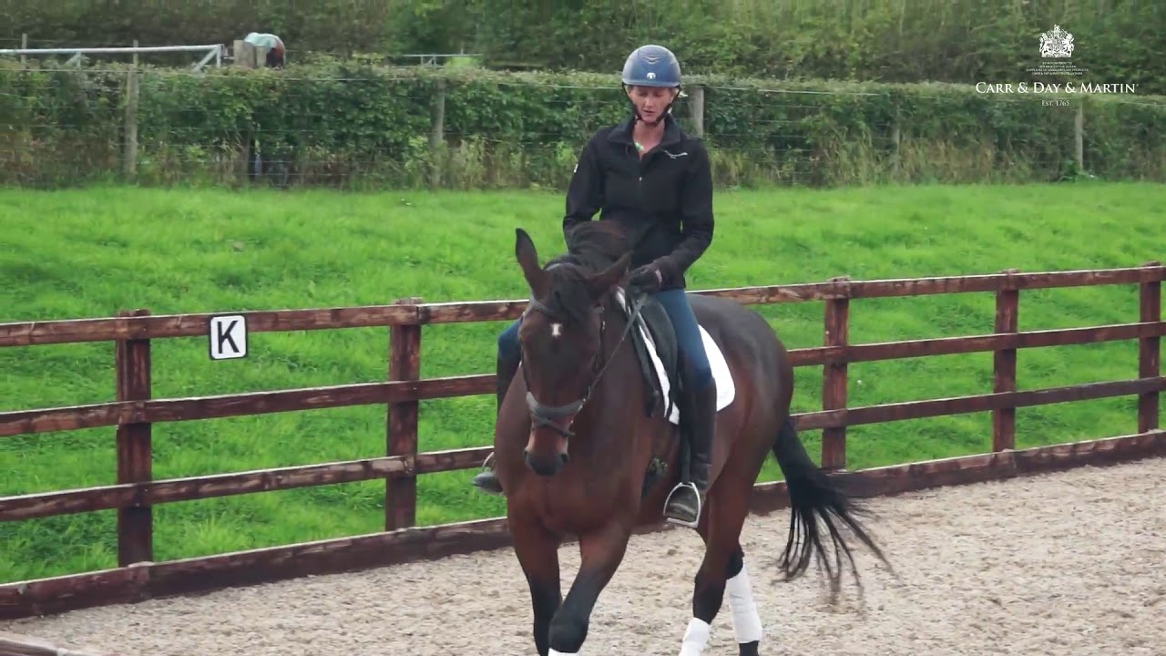 Dressage Tutorial - Leg Yield - YouTube