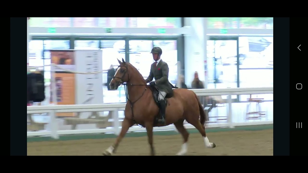 Hayden Hankey & Ricrusio - Aintree Working Hunter Show Main Arena - 1 ...