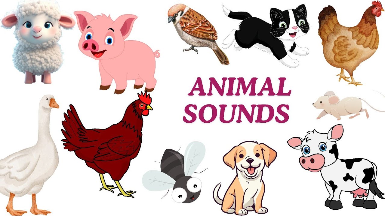 Animal Sounds | Animal Sounds for Children| Animal Sounds for kids ...