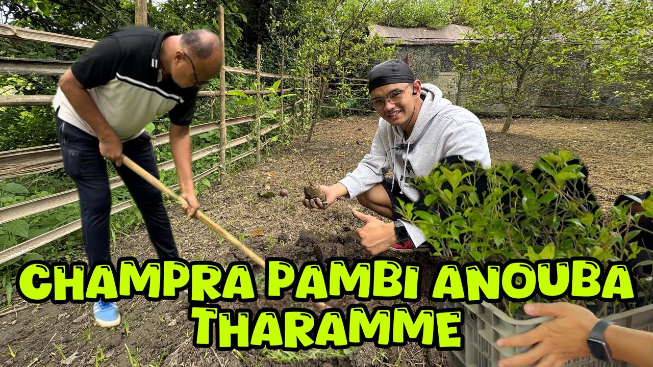 CHAMPRA (LIME) PNBA HWREHE MYM ! HONGNA2 THADOKRKANI - YouTube