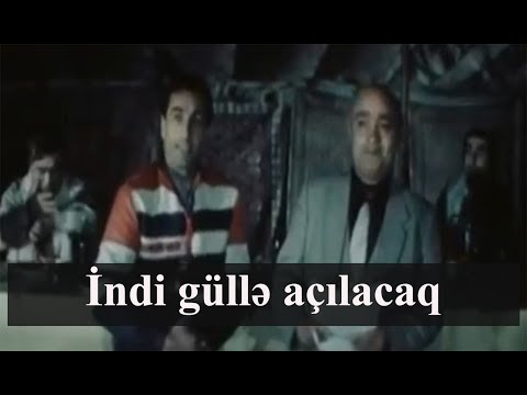 İndi güllə açılacaq, bütün kənd gözləyir - (\