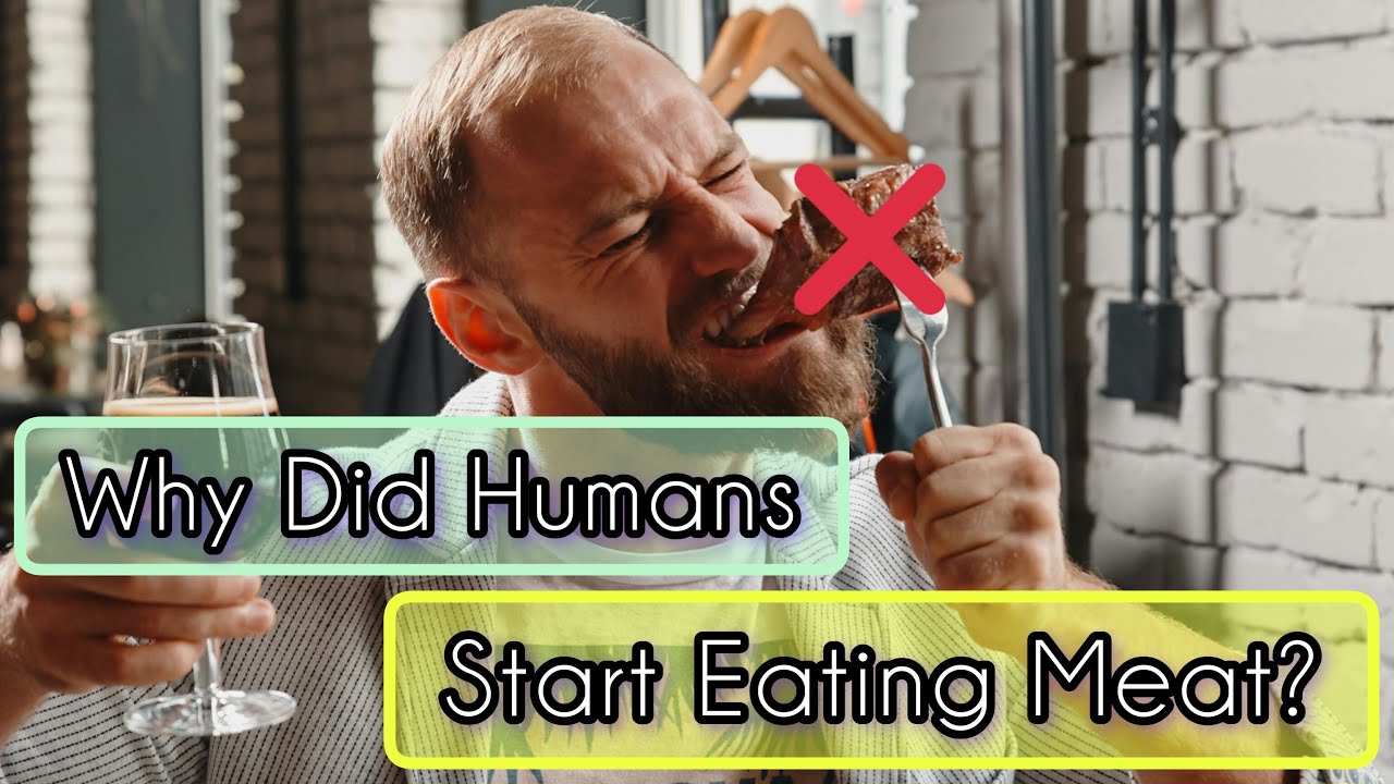 Why Did Humans Start Eating Meat? The Surprising History! - YouTube