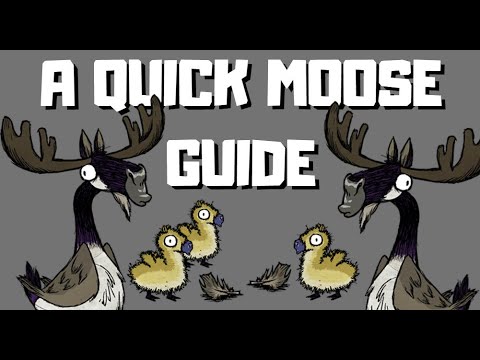 MOOSE GOOSE GUIDE DON'T STARVE TOGETHER - a quick look at how to fight ...