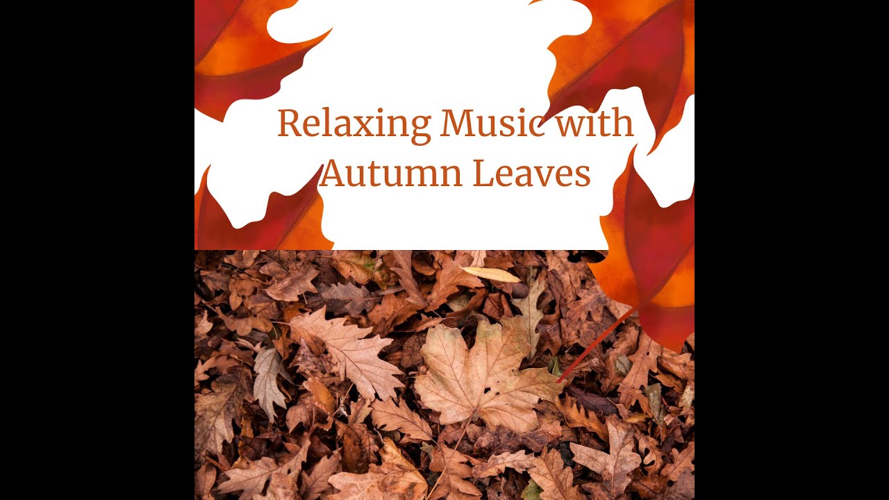 Soothing music with autumn leaves| Relaxing music & autumn leaves ...