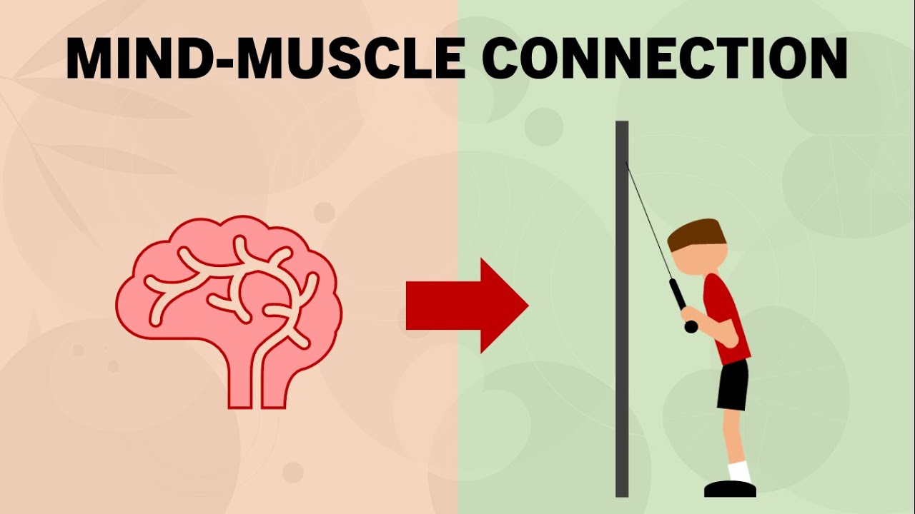 Influence of the Mind-Muscle Connection on Hypertrophy | Attentional ...