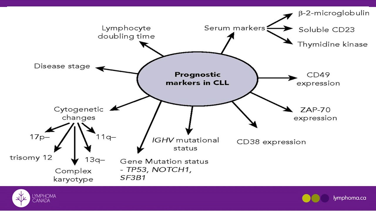CLL and SLL David Spaner - YouTube