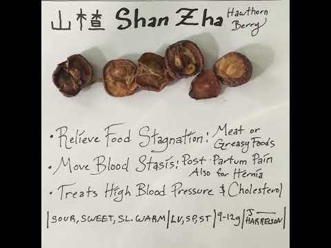 Shan Zha- Chinese Herb - YouTube