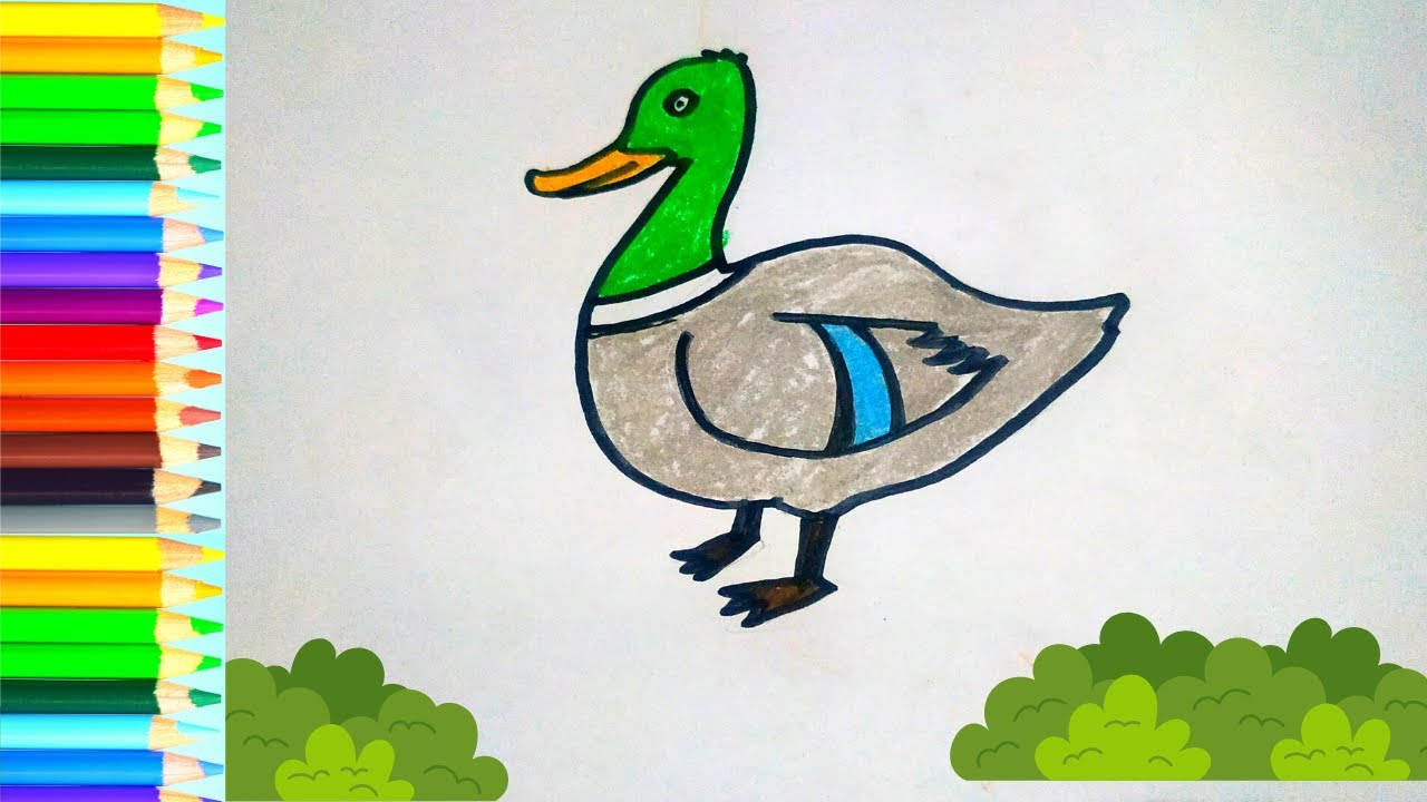 How to draw duck for kids - YouTube
