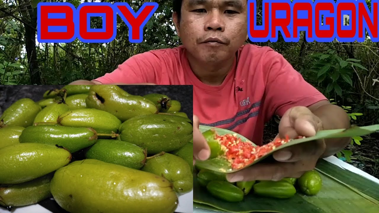 MUKBANG KAMIAS CHALLENGE WITH SPICY CHILLI(SOUR FRUIT EATING CHALLENGE BOY URAGON - YouTube