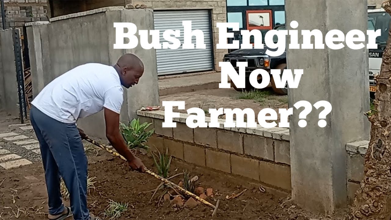 Bush Engineer play farmer || planting vegetables and flowers after Wife ...