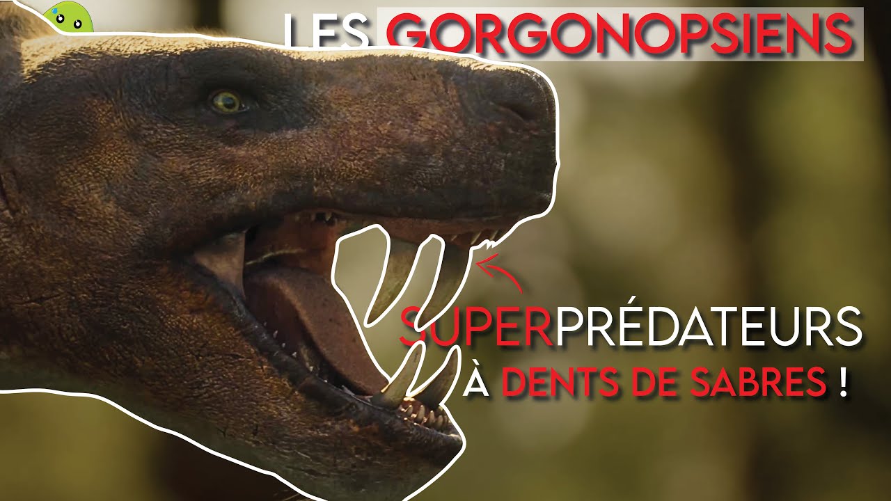 Les GORGONOPSIENS : prédateurs ULTIMES d'avant les DINOSAURES ! - YouTube