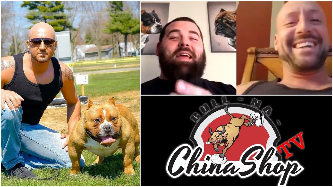 The Bull-NA-ChinaShop Podcast Episode 75 Featuring Bashar Daoud HOW TO ...