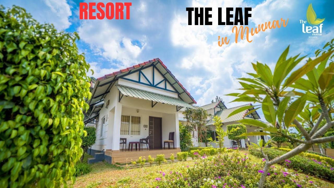 The Leaf resort in munnar | The Best Resort in Munnar ? - YouTube