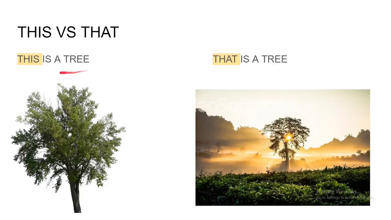 lesson 01 this vs that - YouTube