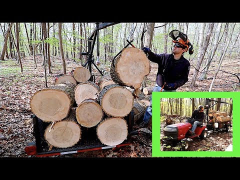 Logging with A Lawnmower - YouTube
