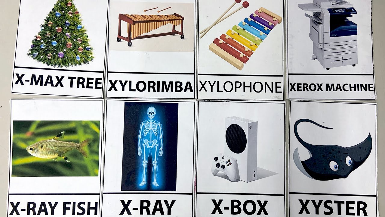 ABCD | Alphabets X for x ray | Letter x | Abcd Alphabets | x for x max ...