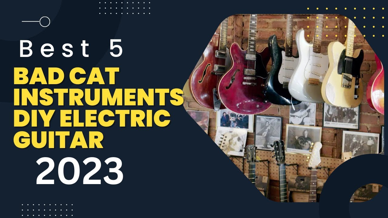 Best 5: Bad Cat Instruments DIY Electric Guitar 2023 - YouTube