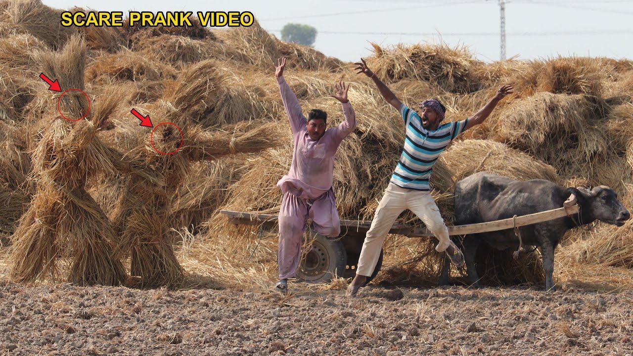 Bushman Prank on farmer Funniest Reaction !! Try Not To laugh_Bush FAIL ...