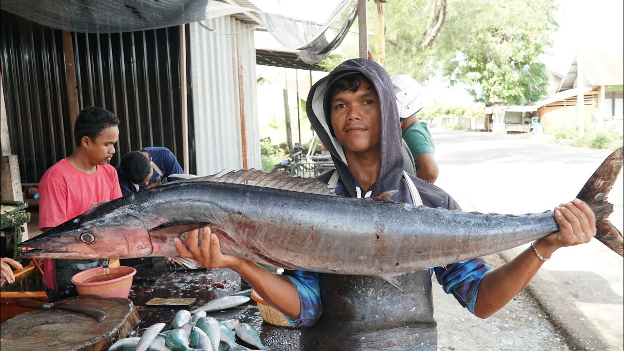 PERFECT FISH CUTTING || The FISHERMAN's Guide to PERFECT FISH Cutting ...
