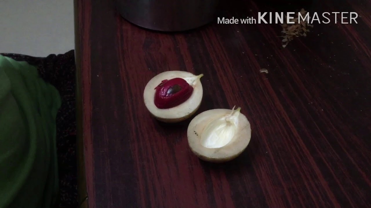 Jathikka Arishtam Nutmeg Arishta - YouTube
