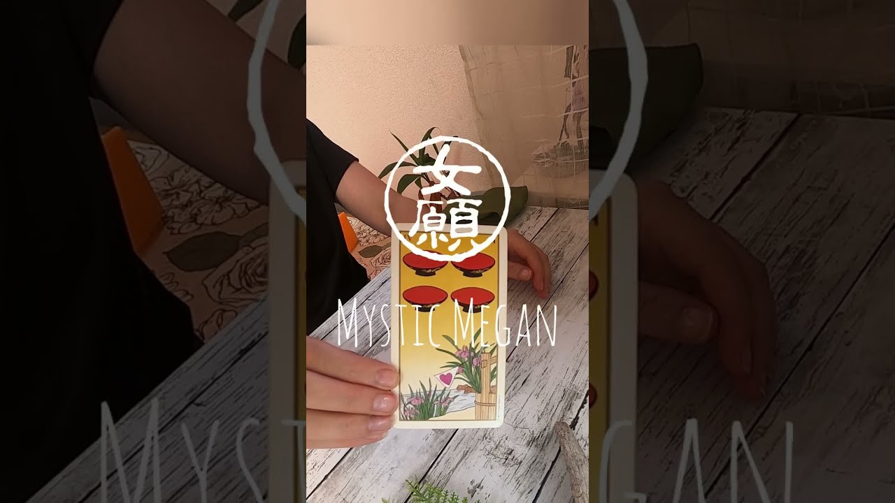 🌿Universal messages | Messages from spirit | Positive Guidance | Tarot ...