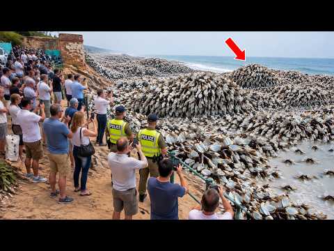 70 Most Unbelievable Moments Ever Caught on Camera #3