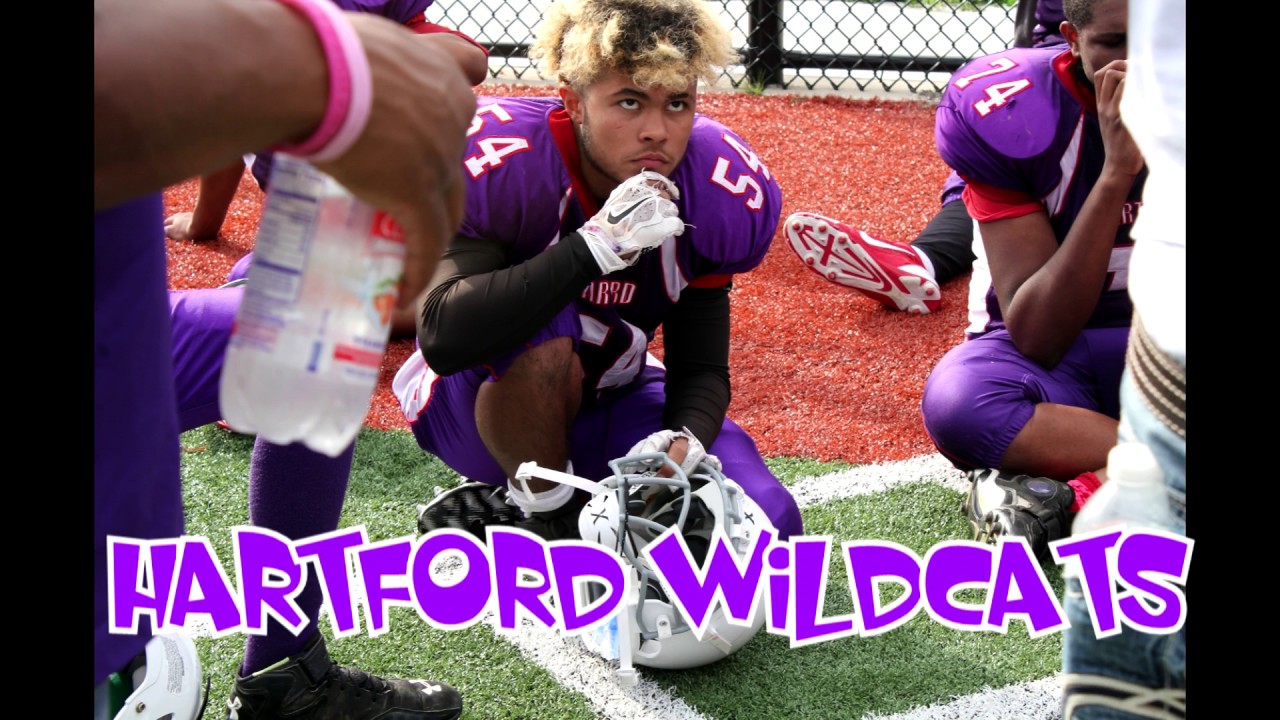 Hartford Wildcats vs New Britain Hurricanes 14u 2016 - YouTube