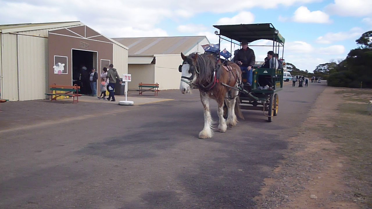 10 show Whyalla 2018. - YouTube