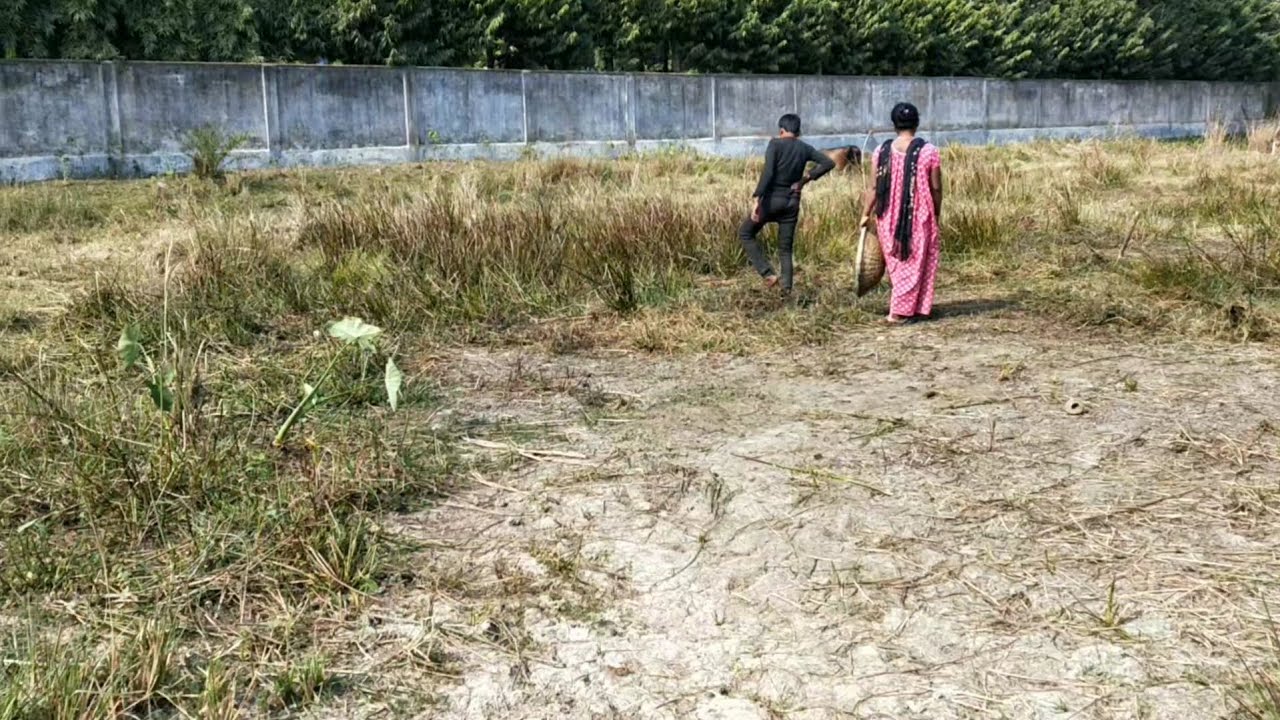 Cleaning up the plot 🔥 - YouTube